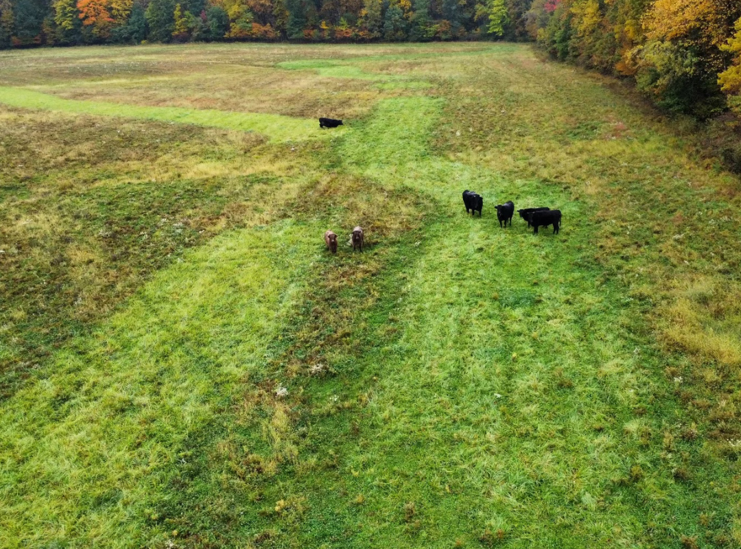 About Us – Hidden Acres Cattle Co