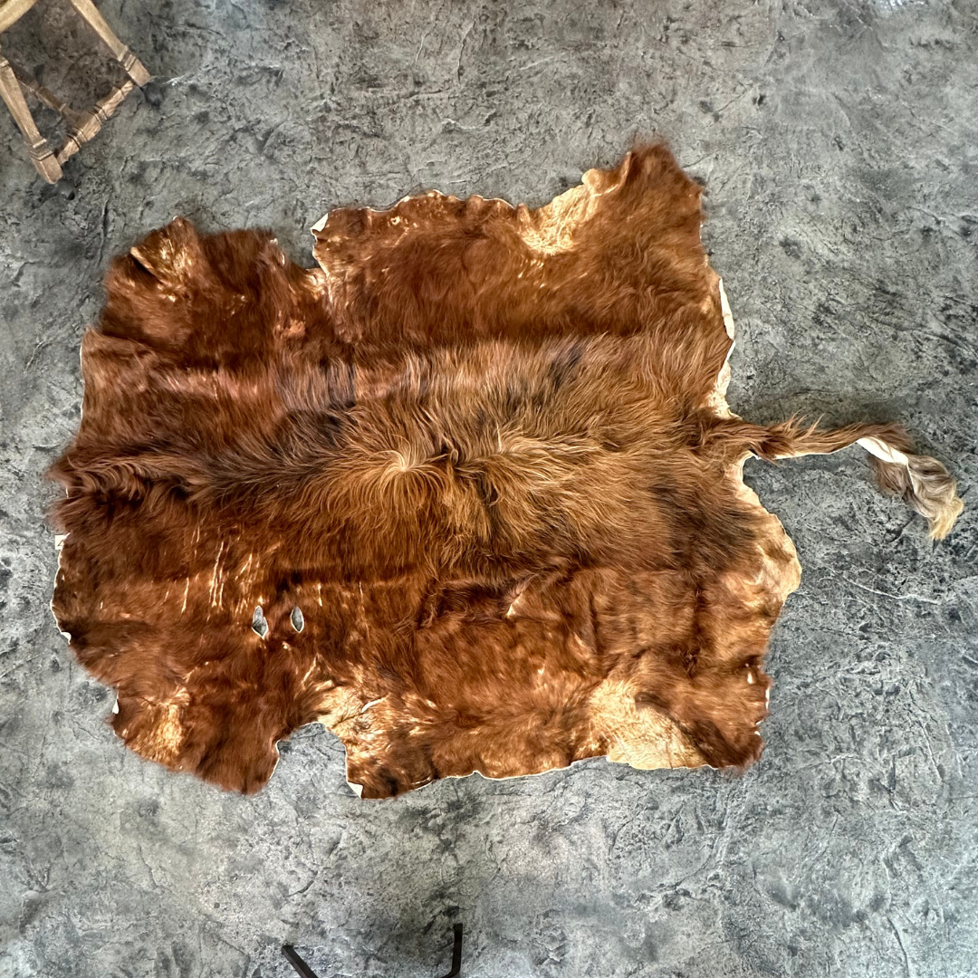 Scottish Highland Hide – Hidden Acres Cattle Co