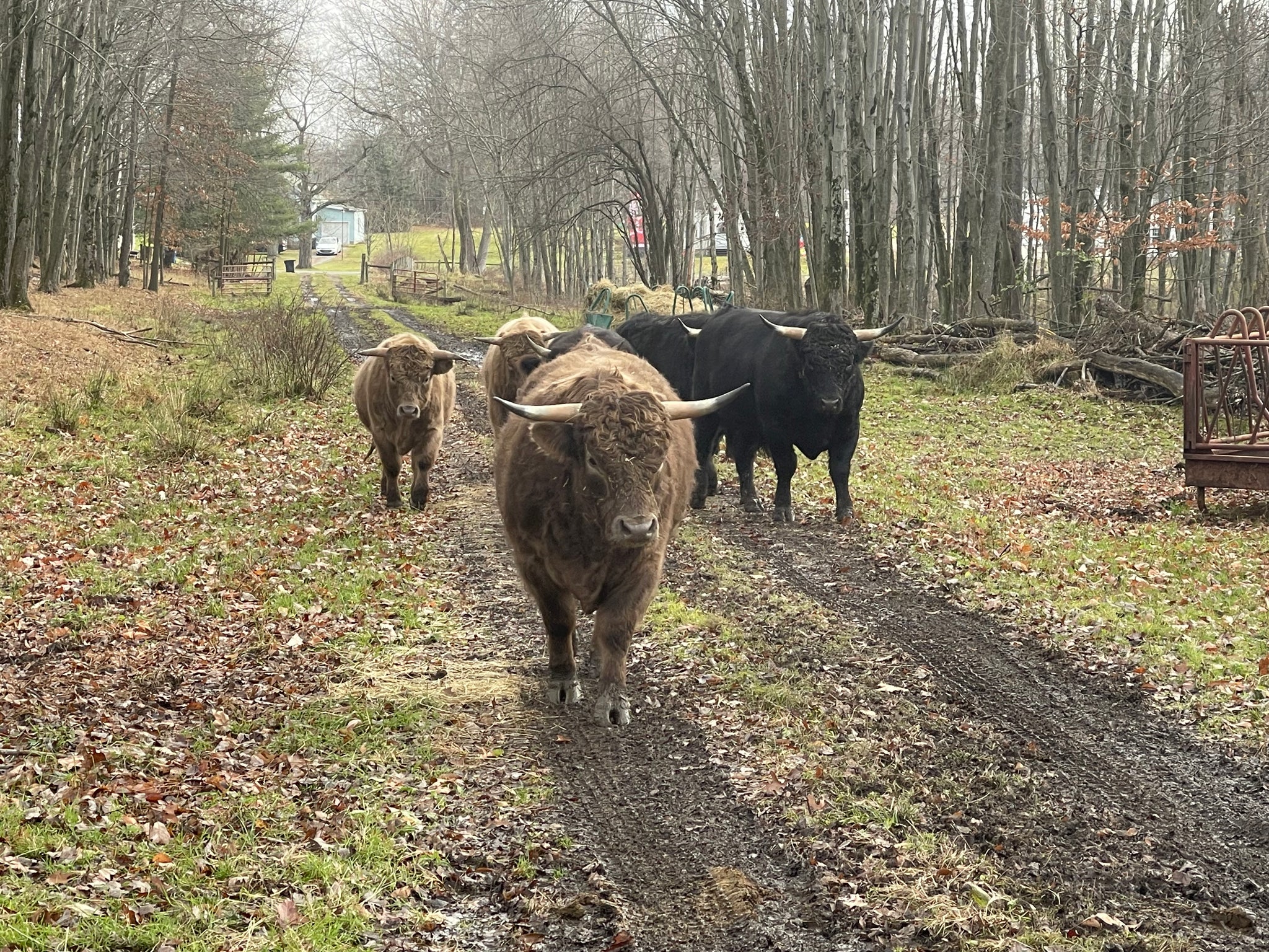 Contact – Hidden Acres Cattle Co